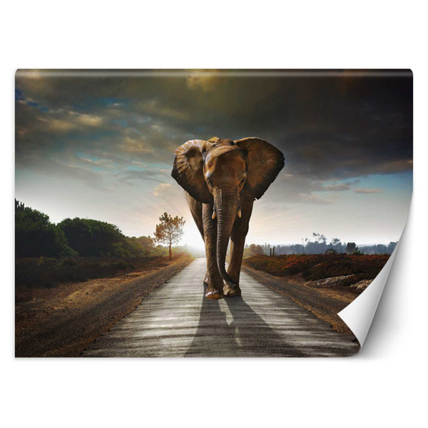 Brayden Studio Cree Satin Paste the Wall Mural | Wayfair.co.uk
