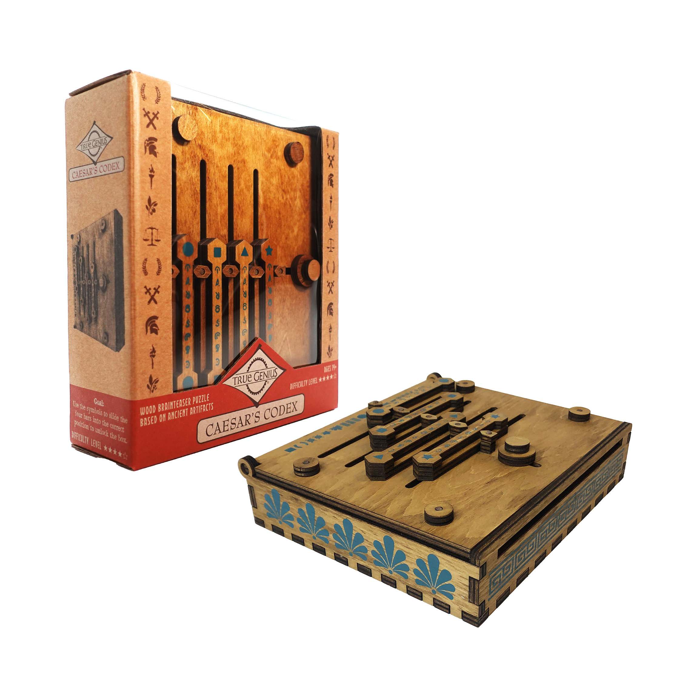 Project Genius 1 Player Brainteaser | Wayfair