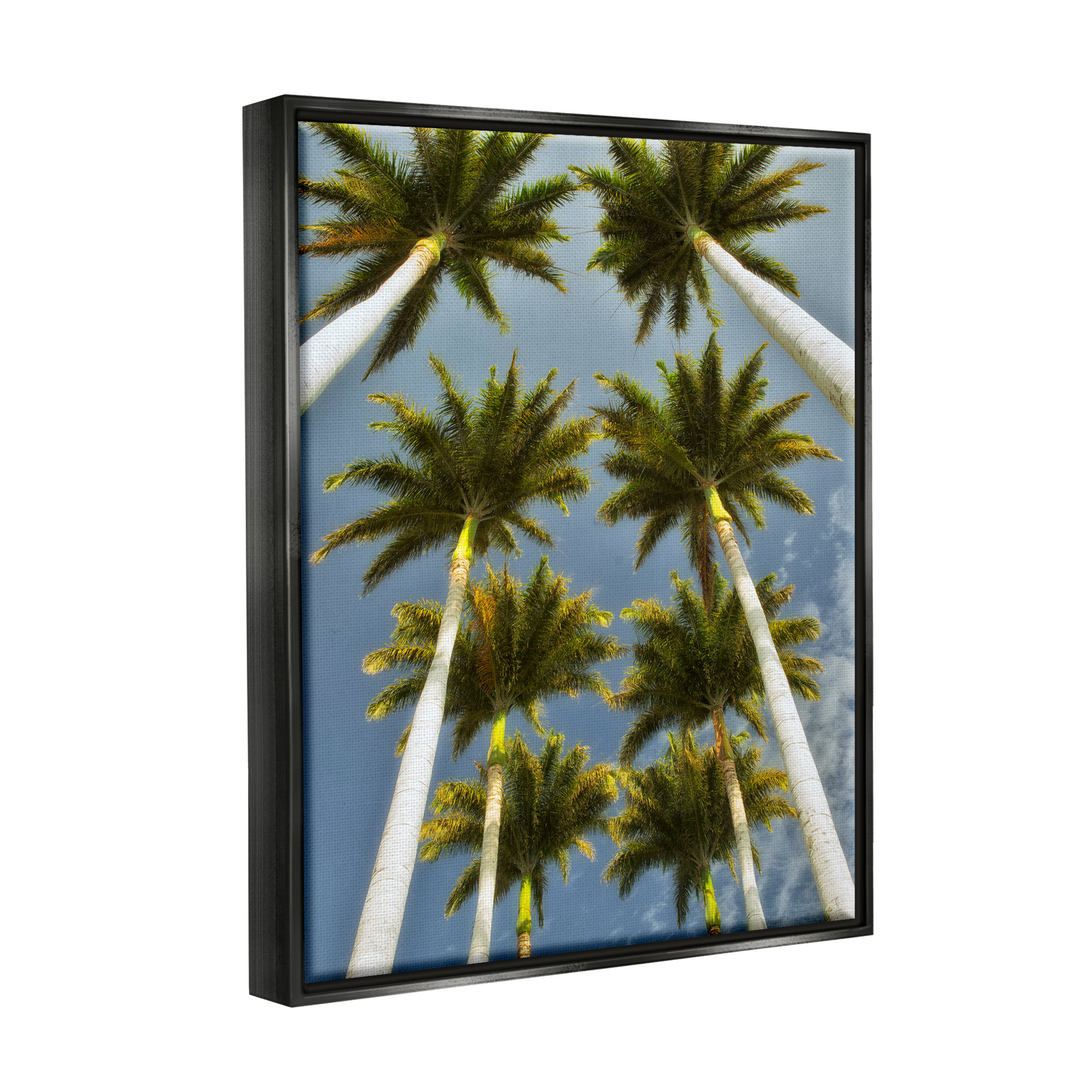 Stupell Industries Palm Trees Overhead Canvas Wall Art Design by Dennis ...