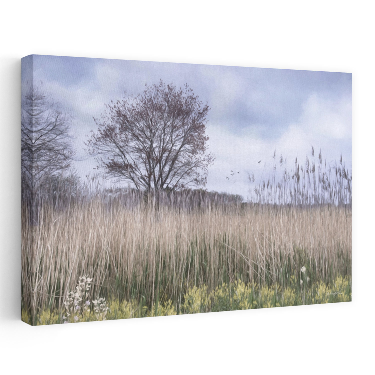 Ophelia & Co. Meadow View - Contemporary Field Of Reeds Spring Scene ...