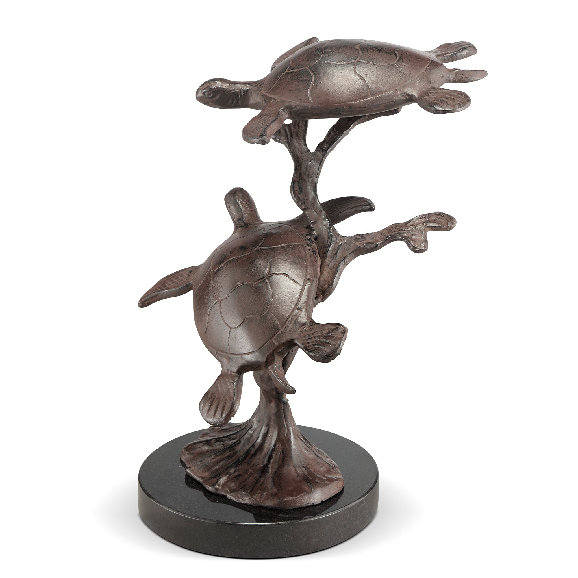SPI Home Current Riders Sea Turtles | Perigold