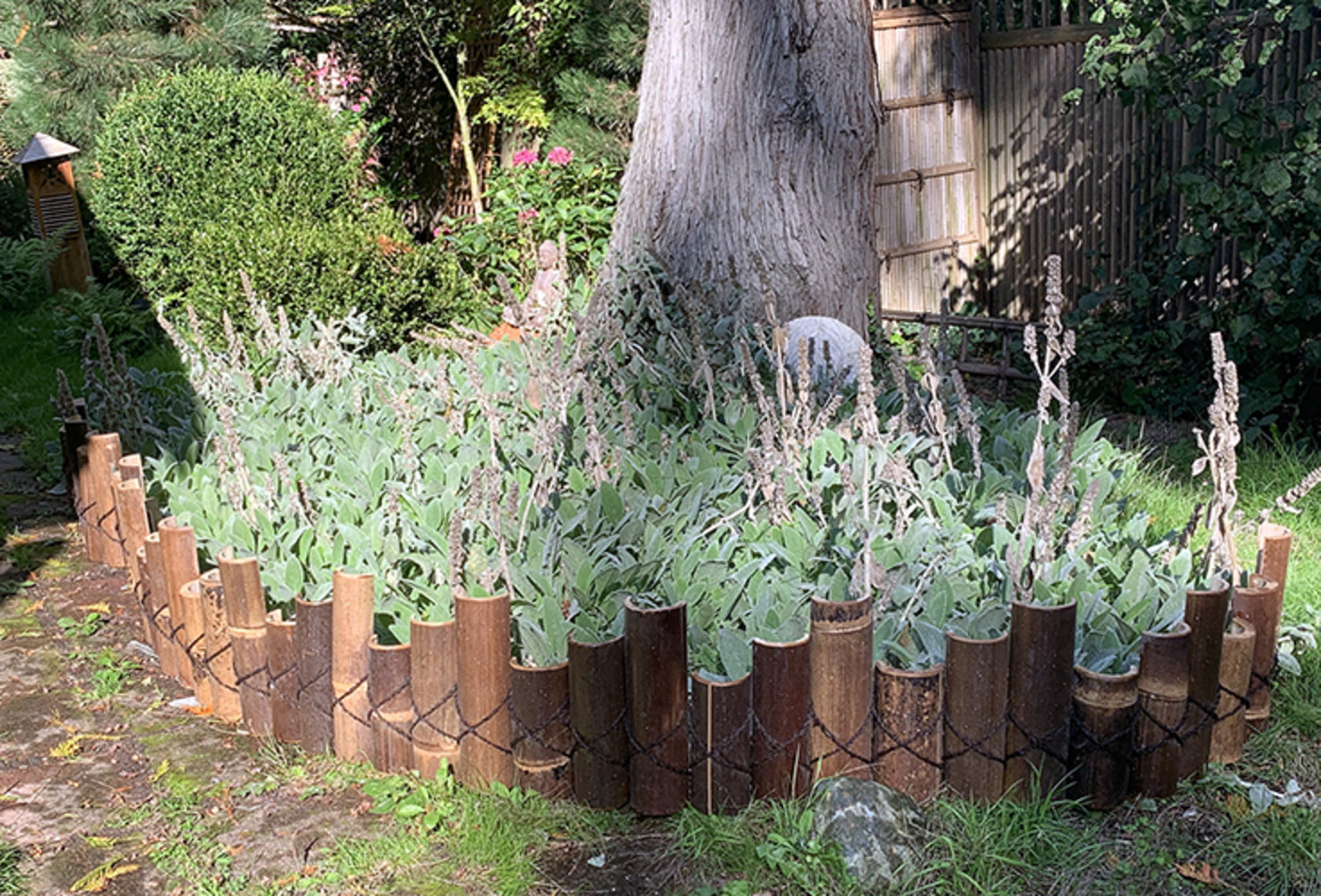 MGP 12 in. H x 6 ft. W Split Bamboo Edging & Reviews | Wayfair