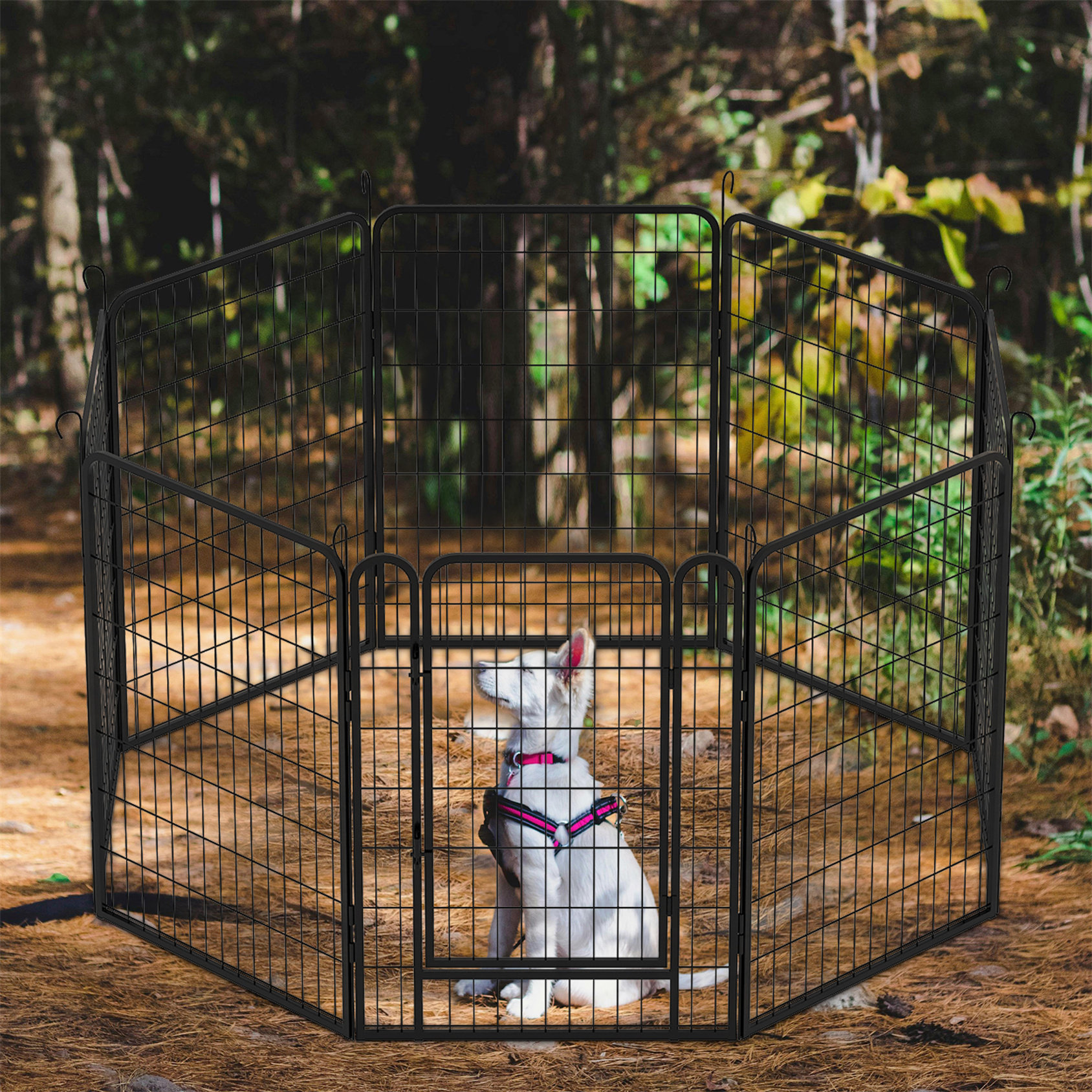 Valeva Stows Metal Exercise Pen | Wayfair