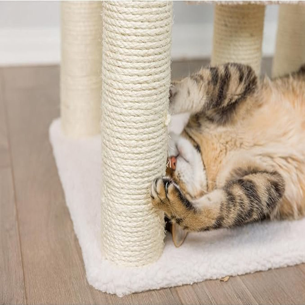 Tucker Murphy Pet™ 57 H | Wayfair