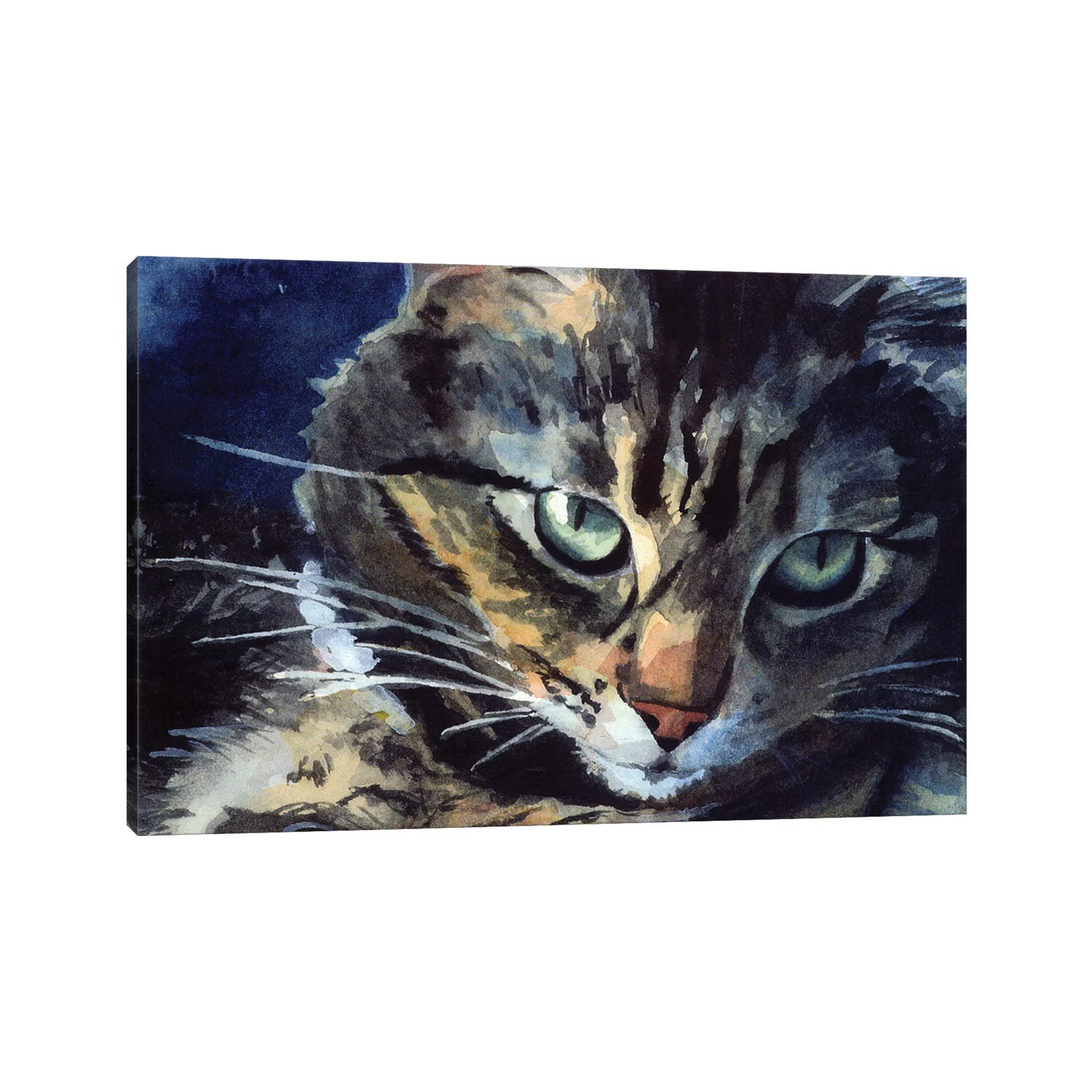 East Urban Home Nans Maine Coon by Rachel Parker - Wrapped Canvas ...