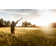 17 Stories Hunting At Golden Hour by Visualspace - No Frame Art Prints ...