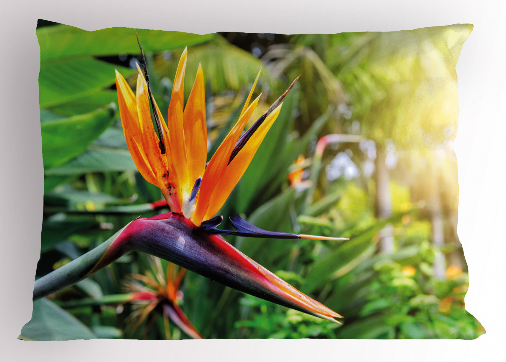 Ambesonne Island Plant Sham | Wayfair