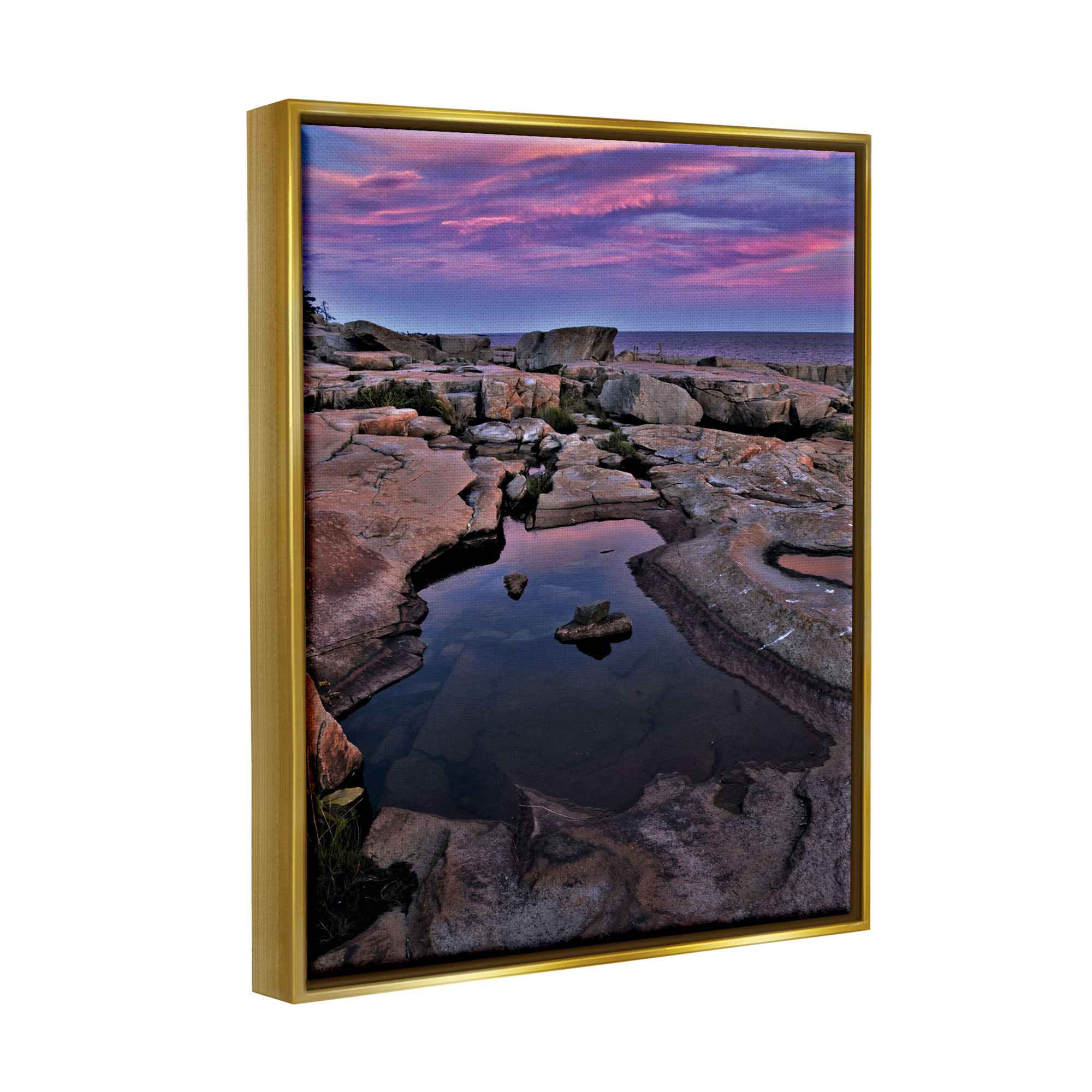 Stupell Industries Tide Pool Landscape On Canvas by Joseph Elliott ...
