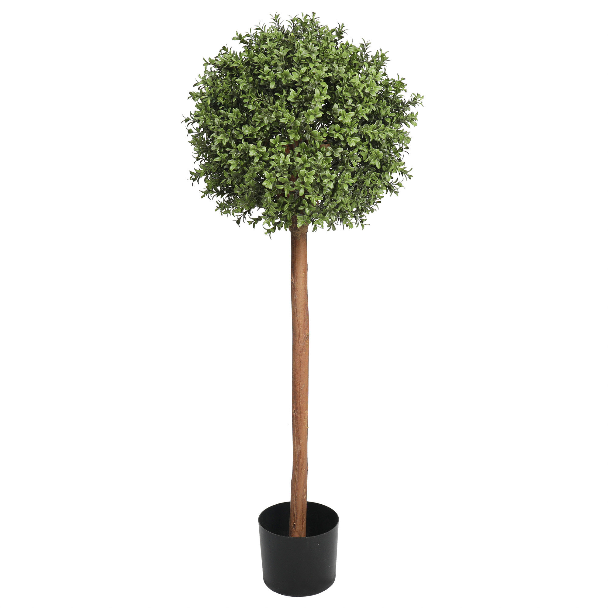 Wildon Home® UV Boxwood Ball 16 X 25" Topiary | Wayfair