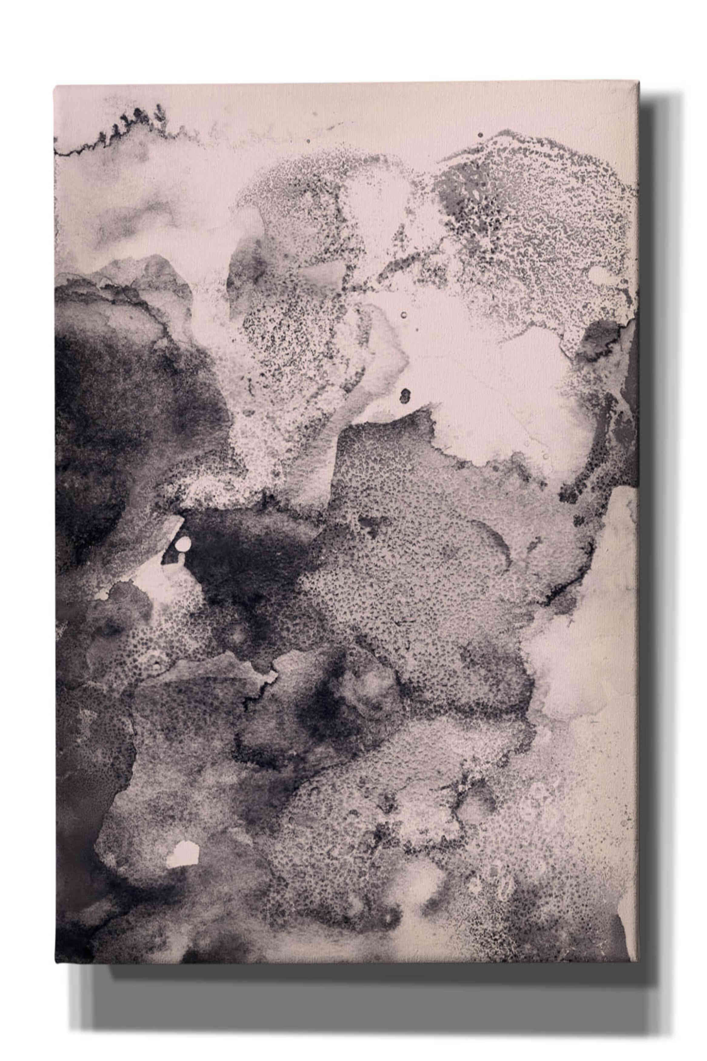 Ivy Bronx Ergun Dusty Rose by Incado - Wrapped Canvas Print | Wayfair