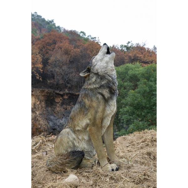 Hi-Line Gift Ltd. LARGE WOLF STATUE & Reviews - Wayfair Canada