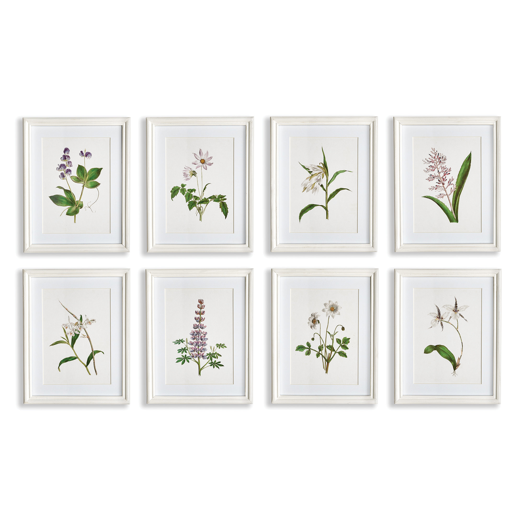 Lark Manor FLOWERS IN BLOOM PETITE PRINTS, SET OF 8 - Wayfair Canada