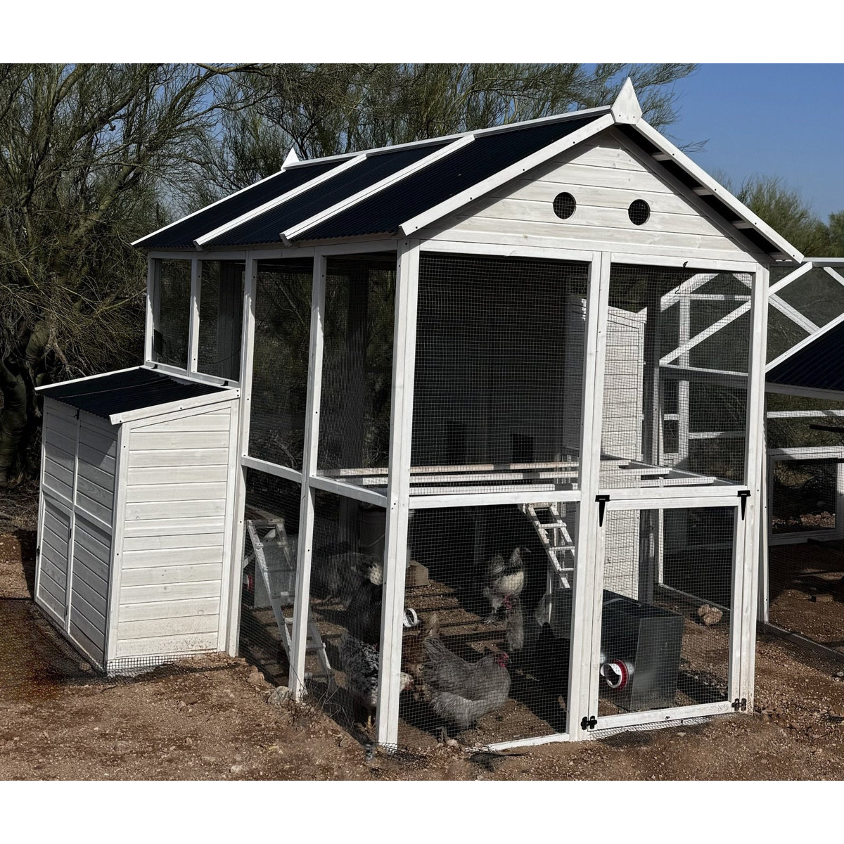 Zylina Modern Countryside Chicken Coop | Wayfair