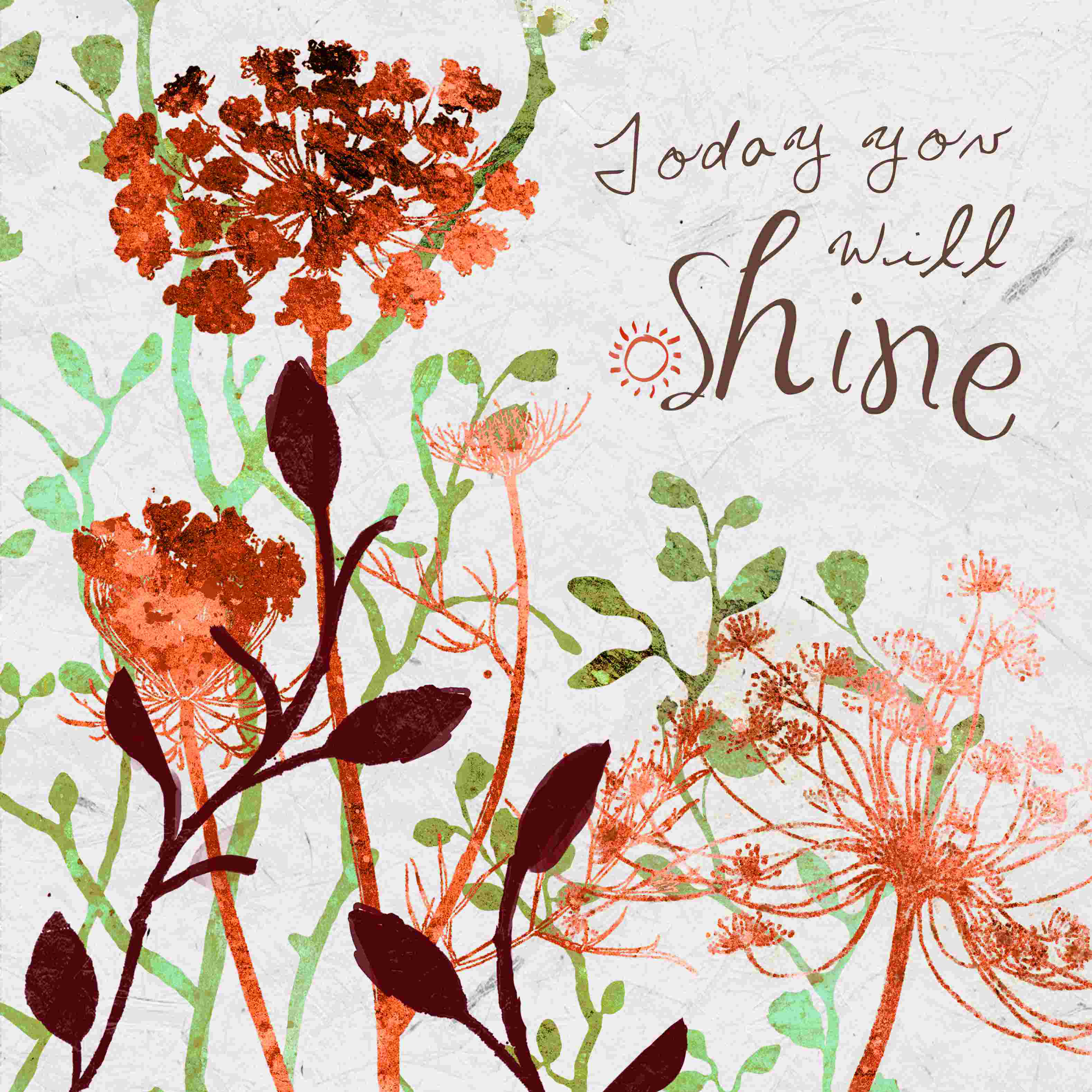 Winston Porter Orange Flower Shine - Wayfair Canada