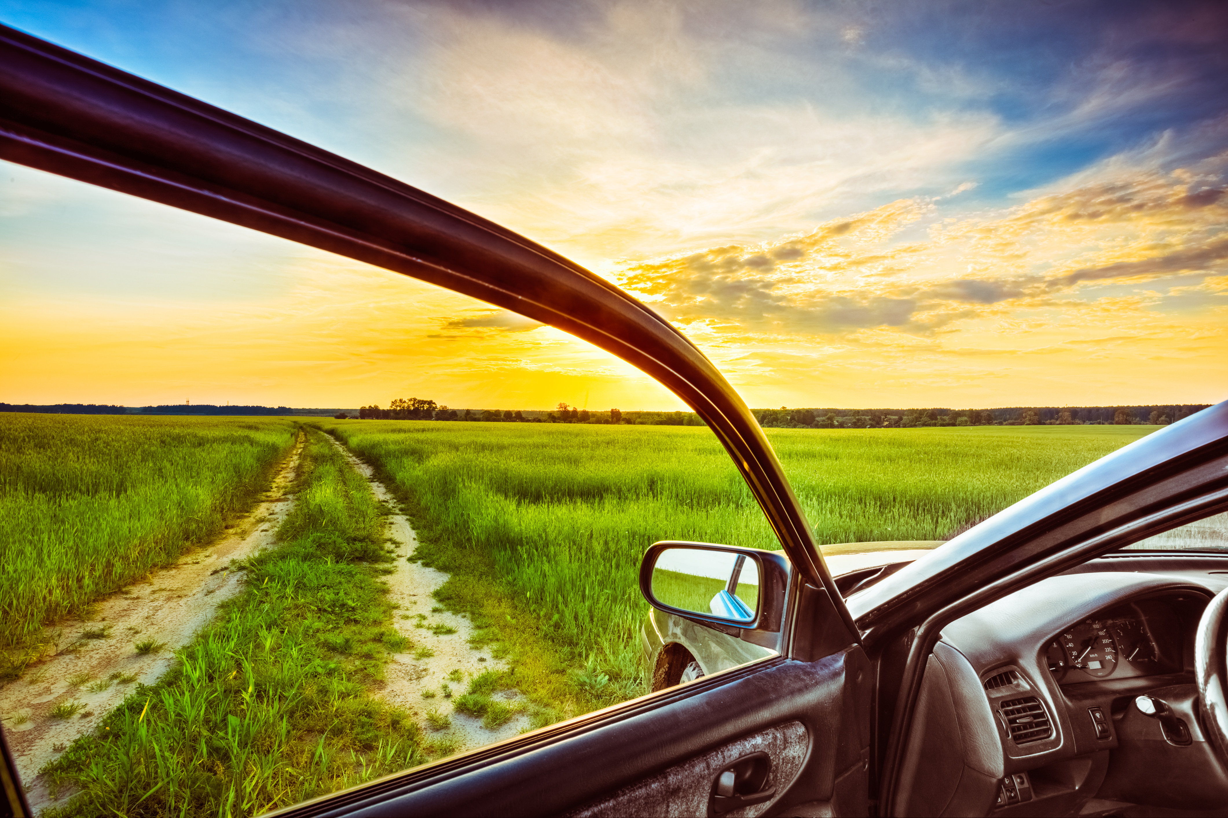 Ebern Designs View From Car Window - Wayfair Canada