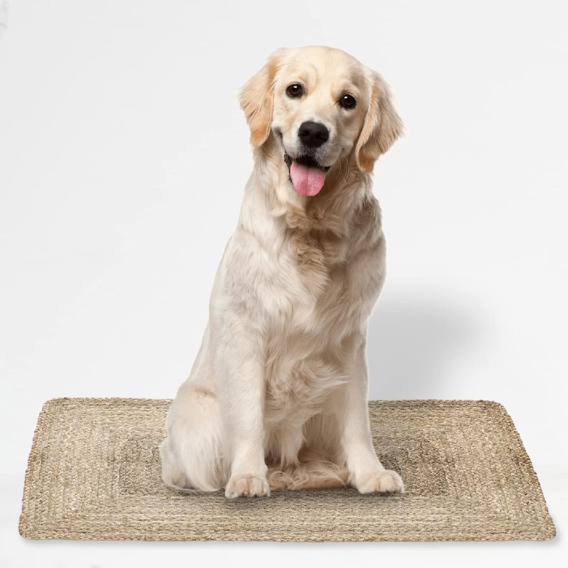 Gracie Oaks Jute Cotton Rag Rug '' | Reversible Rug | Living Room Rugs ...