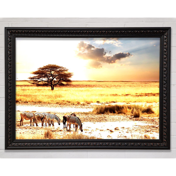 Bright Star Herd Of Zebras - Single Picture Frame Art Prints | Wayfair ...