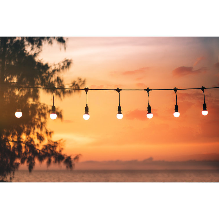 Ebern Designs Yellow String Lights On Canvas Print - Wayfair Canada