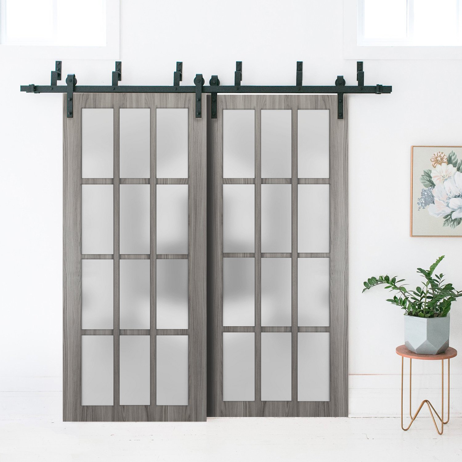 SARTODOORS Felicia Frosted Glass Sliding Closet Doors | Wayfair