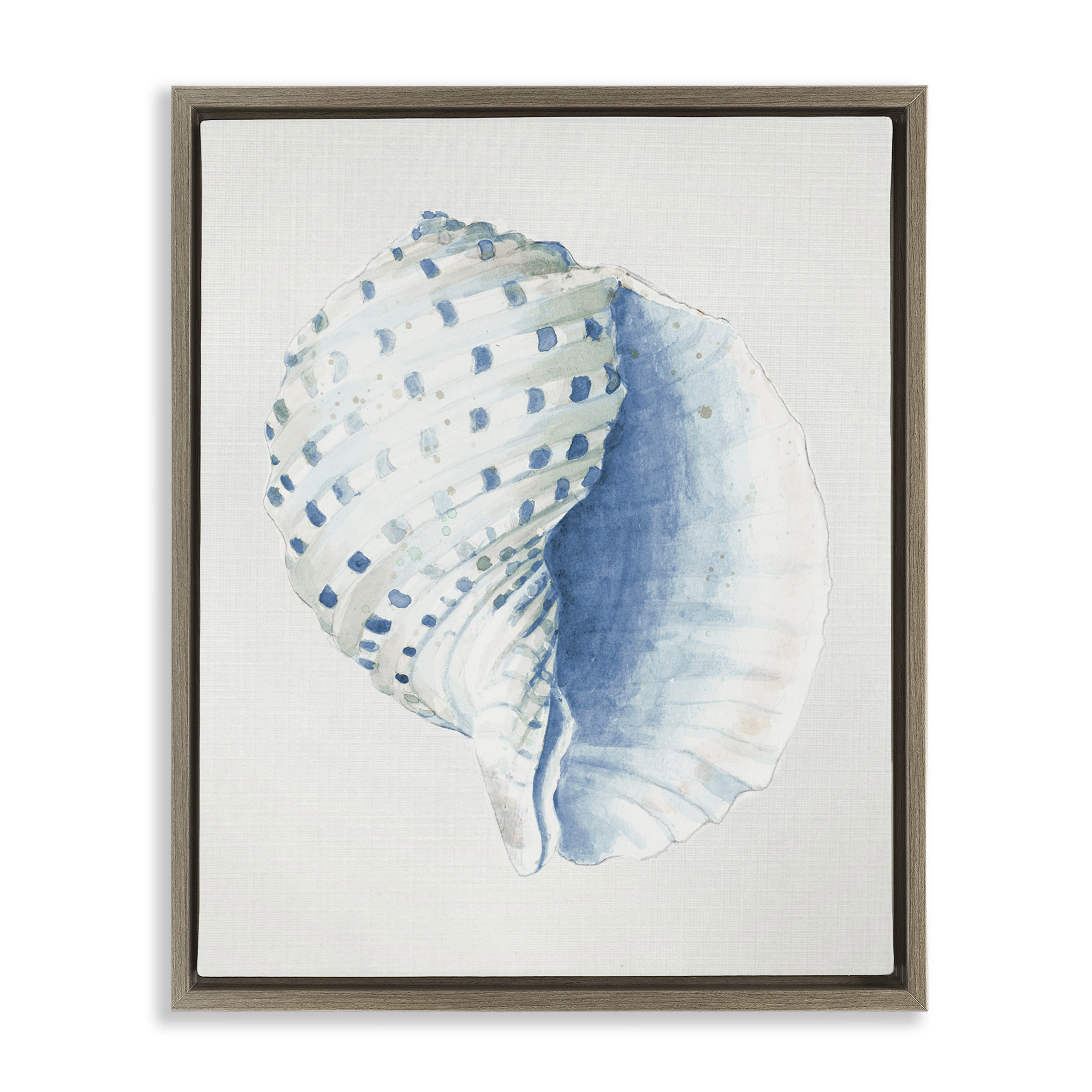 Dovecove Spotted Conch Shell Framed Floater Canvas Wall Art by Patricia ...