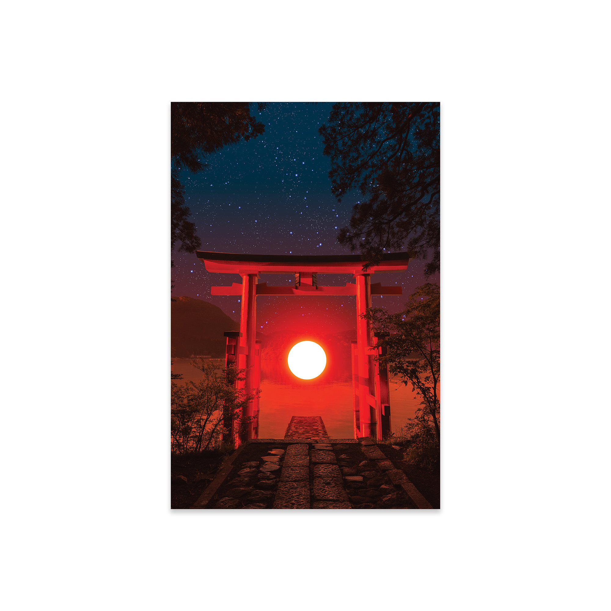 Winston Porter Torii On Plastic/Acrylic by Danner Orozco | Wayfair