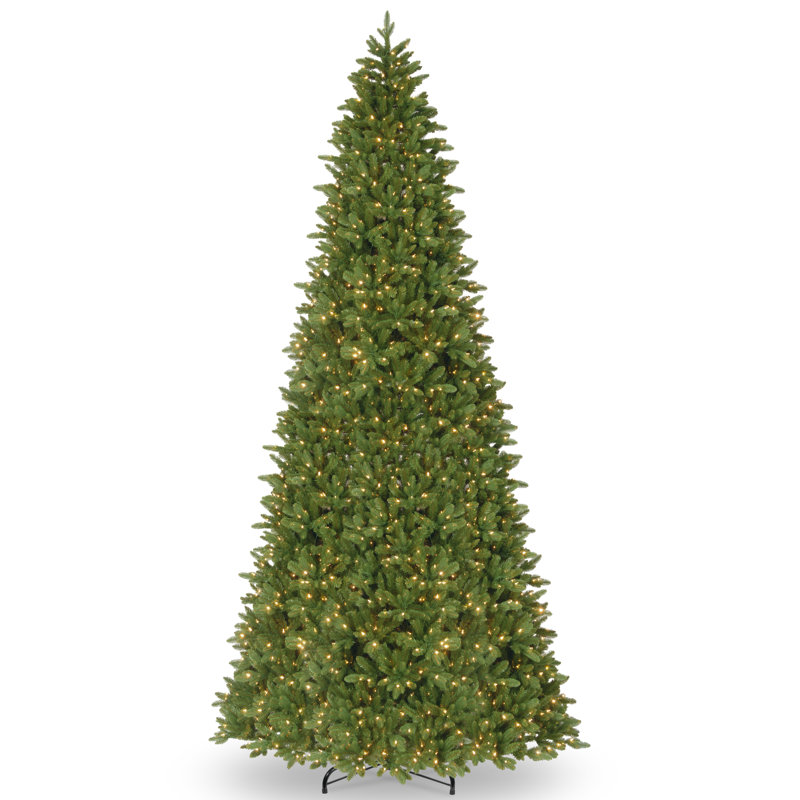 The Holiday Aisle® 14 ft. Ridgewood Spruce Slim Tree with LED Lights ...