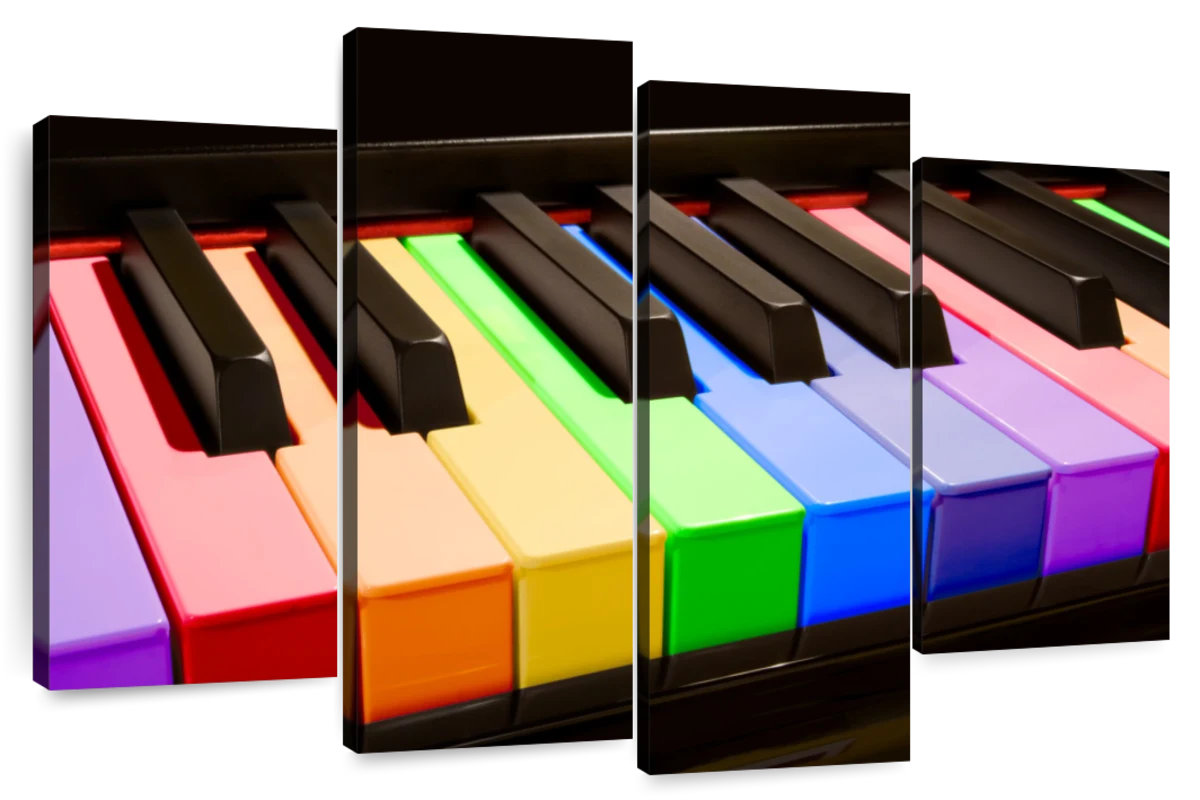 Elephant Stock Rainbow Piano Keys - Wayfair Canada