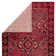 Lark Manor Tewksbury Oriental Indoor / Outdoor Rug & Reviews | Wayfair