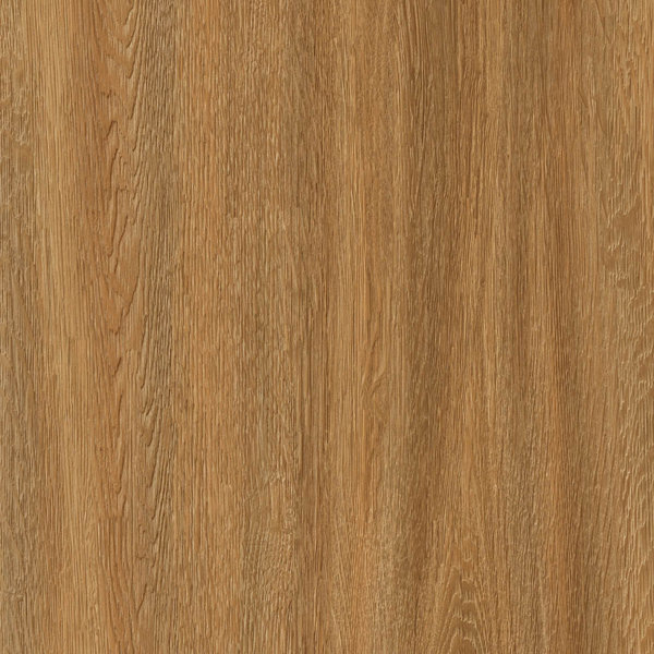 EarthWerks SAMPLE - Pavilion Luxury Vinyl Plank - Wayfair Canada