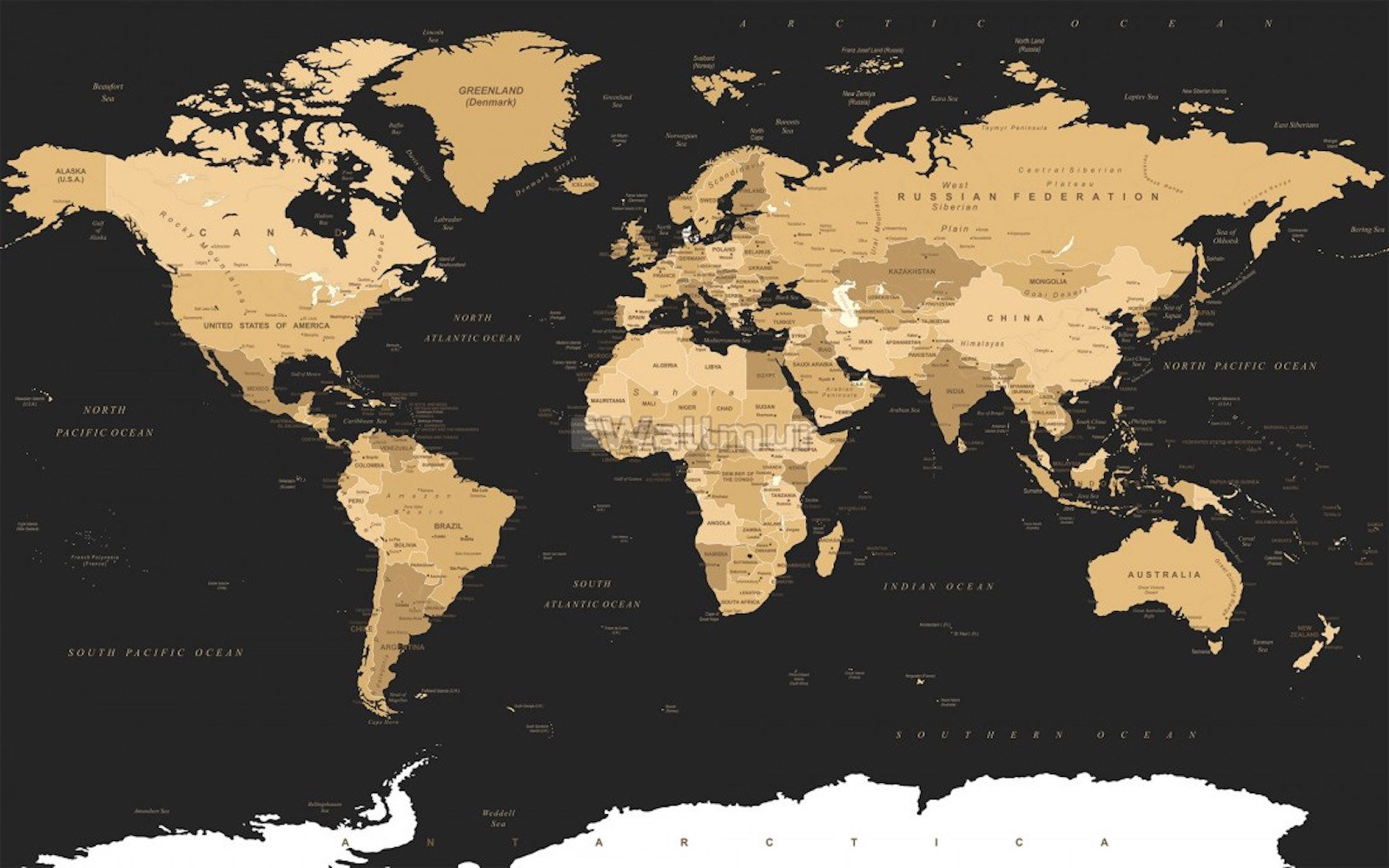 17 Stories Calliegh Black Political World Map Dark Maps Removable ...