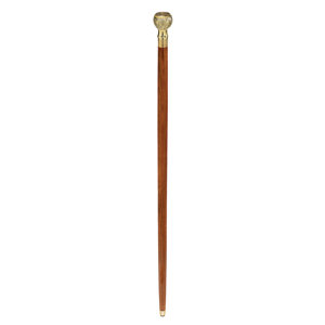 Design Toscano Empress Compass Decorative Walking Stick & Reviews | Wayfair