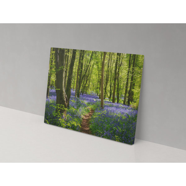 ClassicLiving Bluebell Trees - Wrapped Canvas Print | Wayfair.co.uk