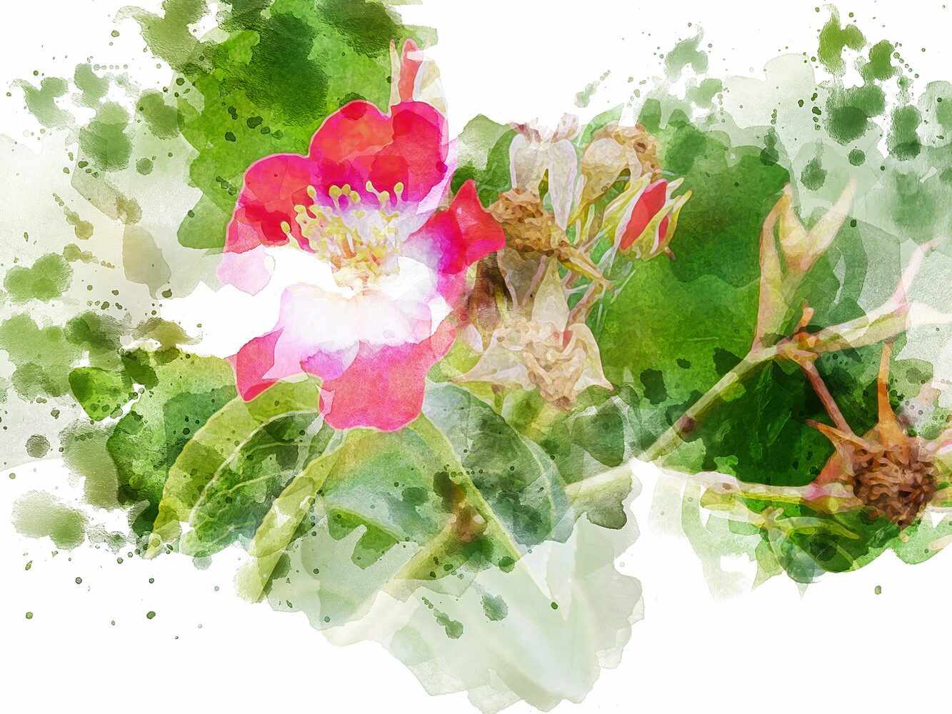 Made & Curated Floral 2852 by Chamira Young - Picture Frame Painting ...