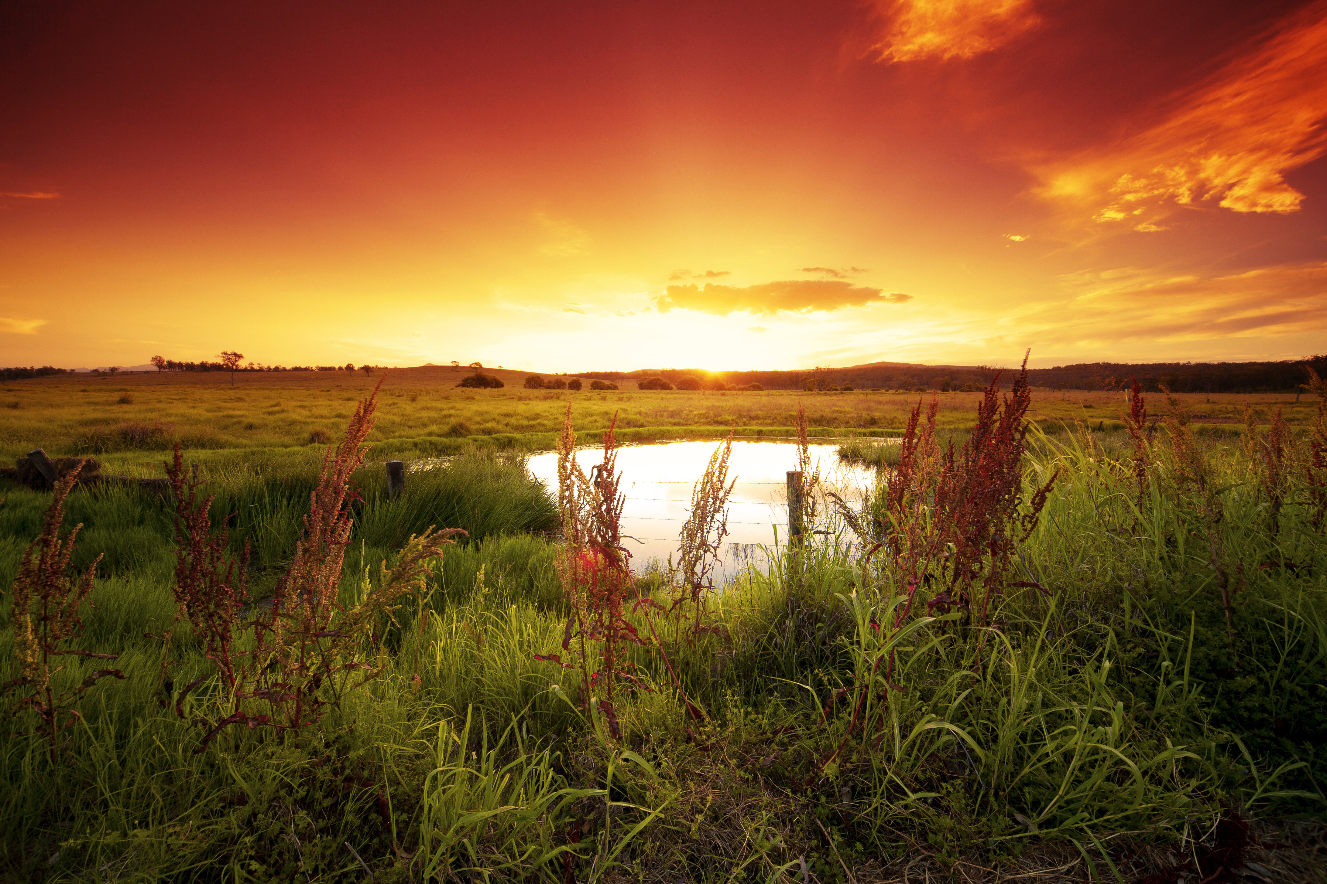 Wall Art Production Network Warm Glowing Field by Quirex - Wrapped ...