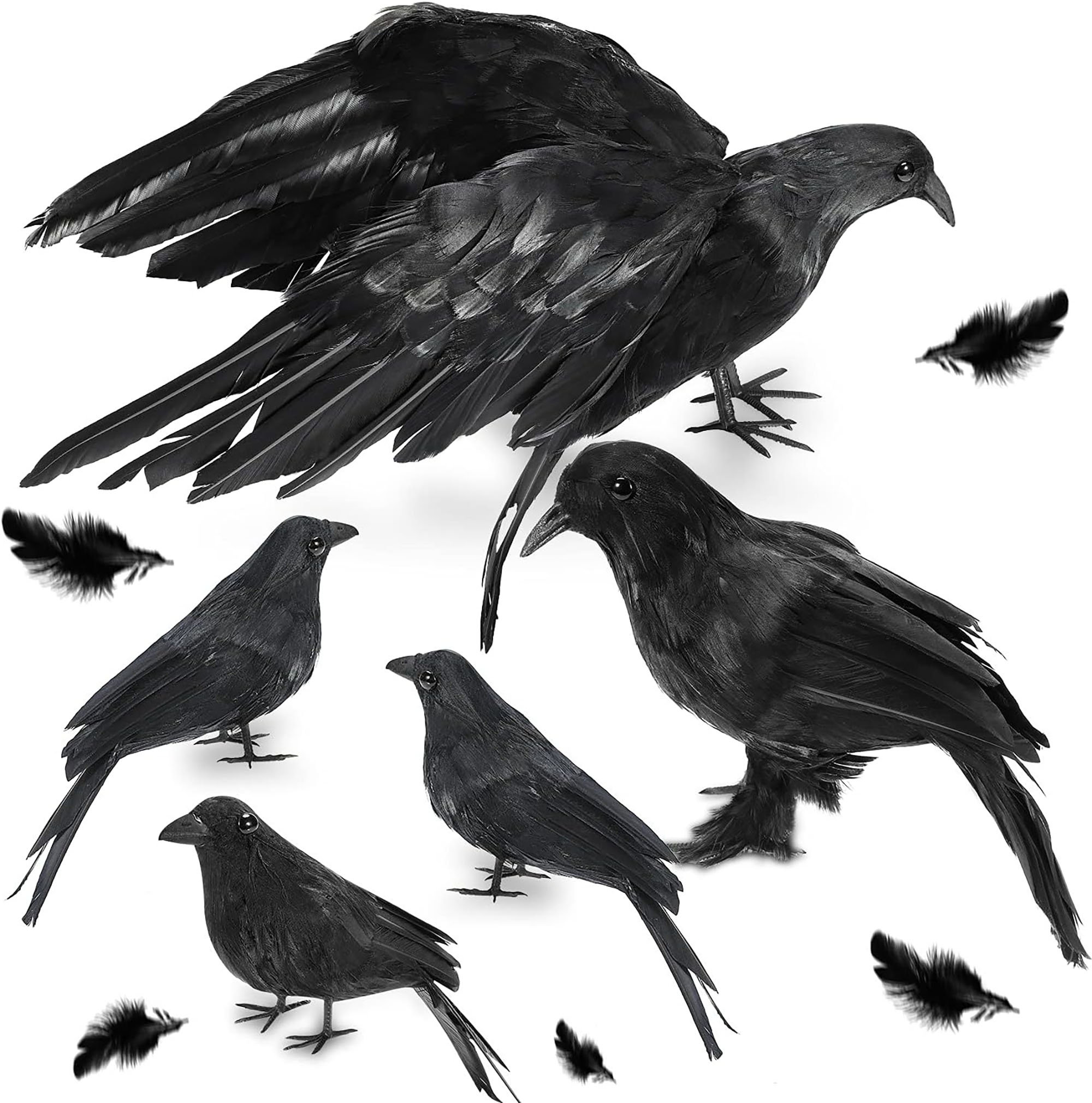 The Holiday Aisle® 5 Pack, Realistic Handmade Black Feather Crows Prop ...