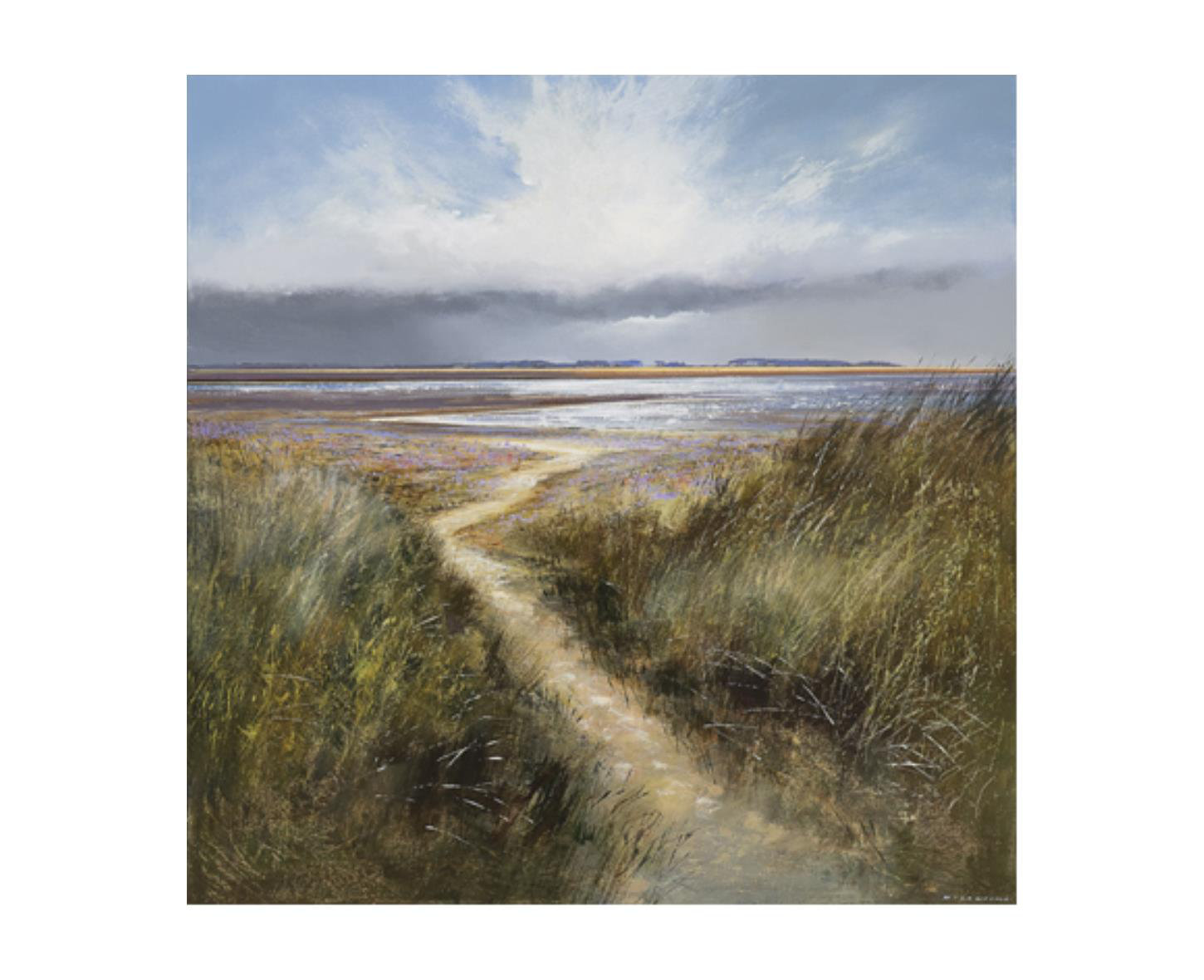 Chelsea Art Studio Seaside Path by Michael J. Sanders - Photograph ...