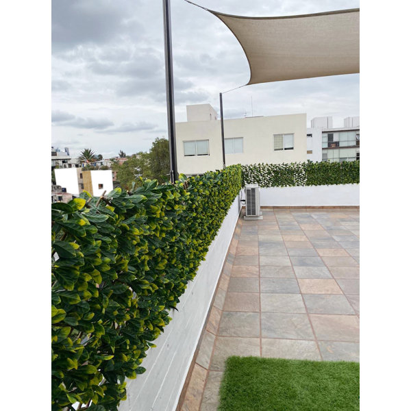 GreenSmart Dekor Faux Lemon Decorative Fence Panel & Reviews | Wayfair