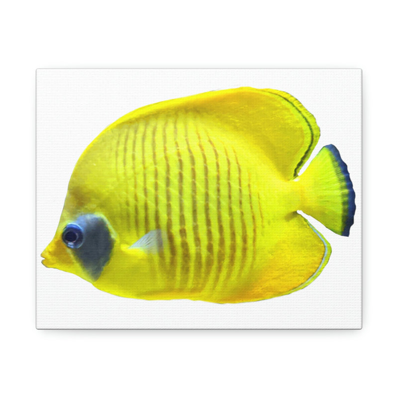 Dovecove Yellow Fish - Unframed Illustration on Canvas | Wayfair