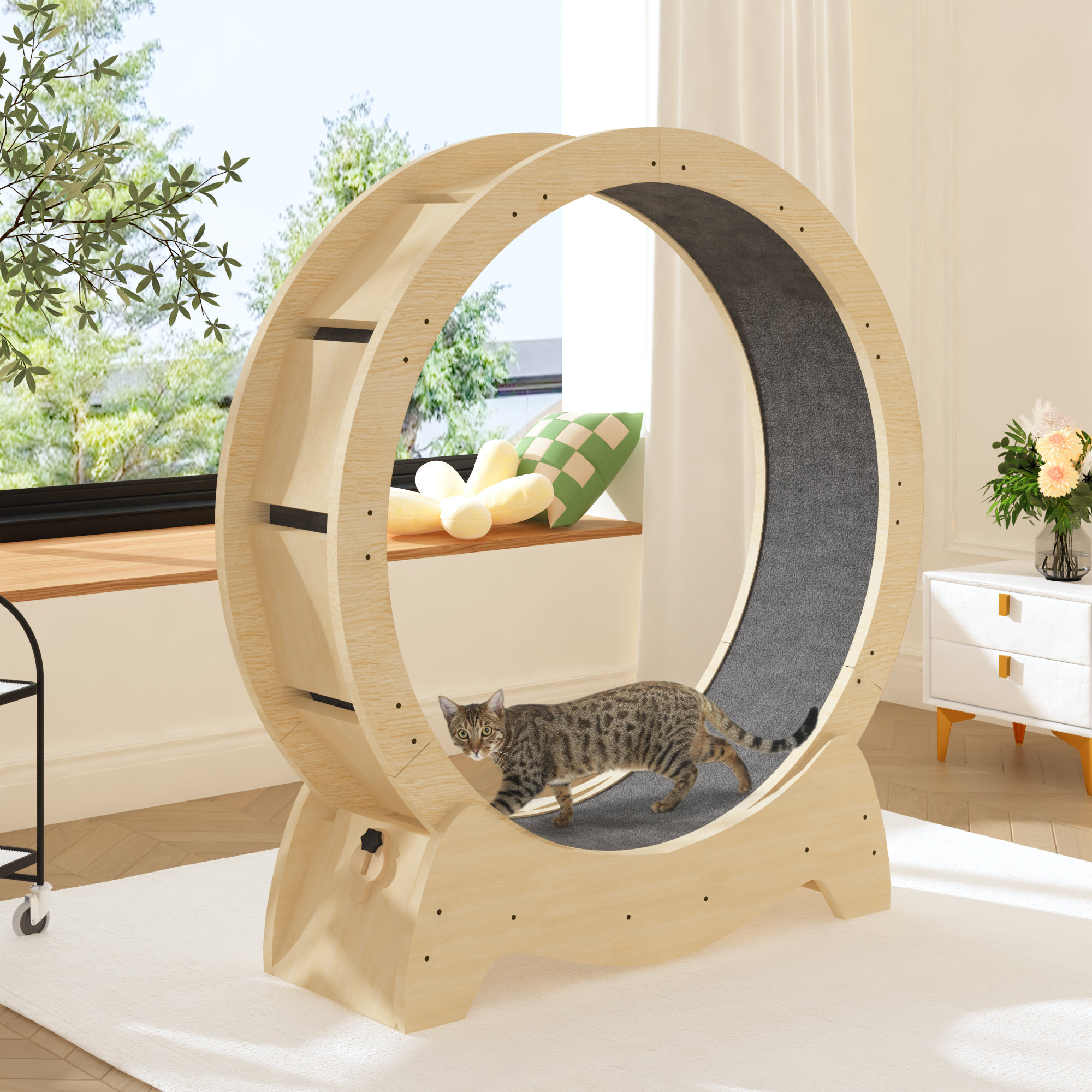 Tucker Murphy Pet™ Conine Cat Exercise Wheel for Indoor Cats, Cat ...