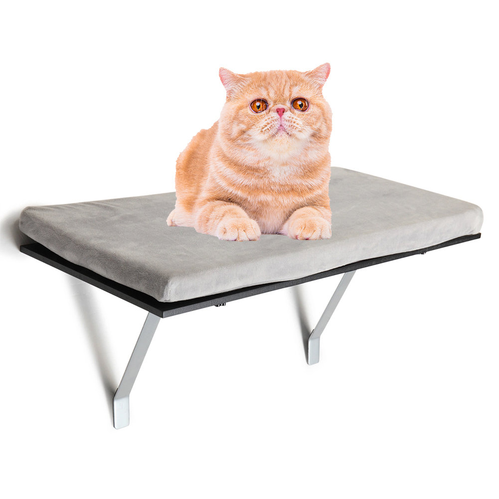 Tucker Murphy Pet™ Cat Perch Window Mounted Shelf Bed With Velvet ...
