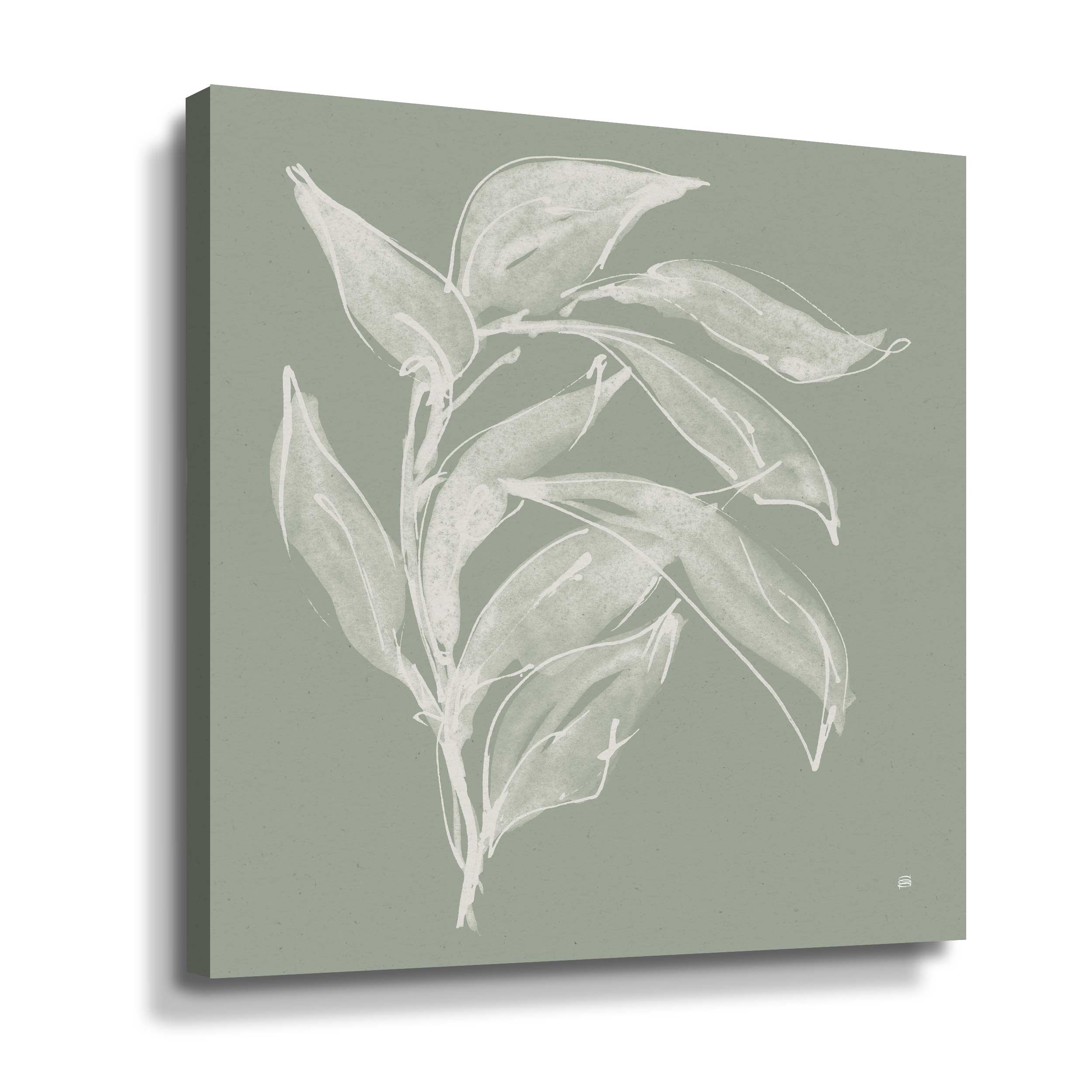Winston Porter Branch I Sage by Chris Paschke - Wrapped Canvas Print ...