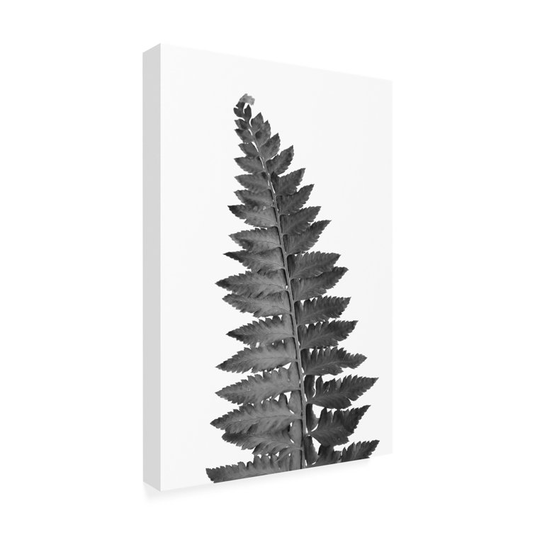 Winston Porter Gray Fern Leaf On Canvas by Rosana Laiz Blursbyai Print ...