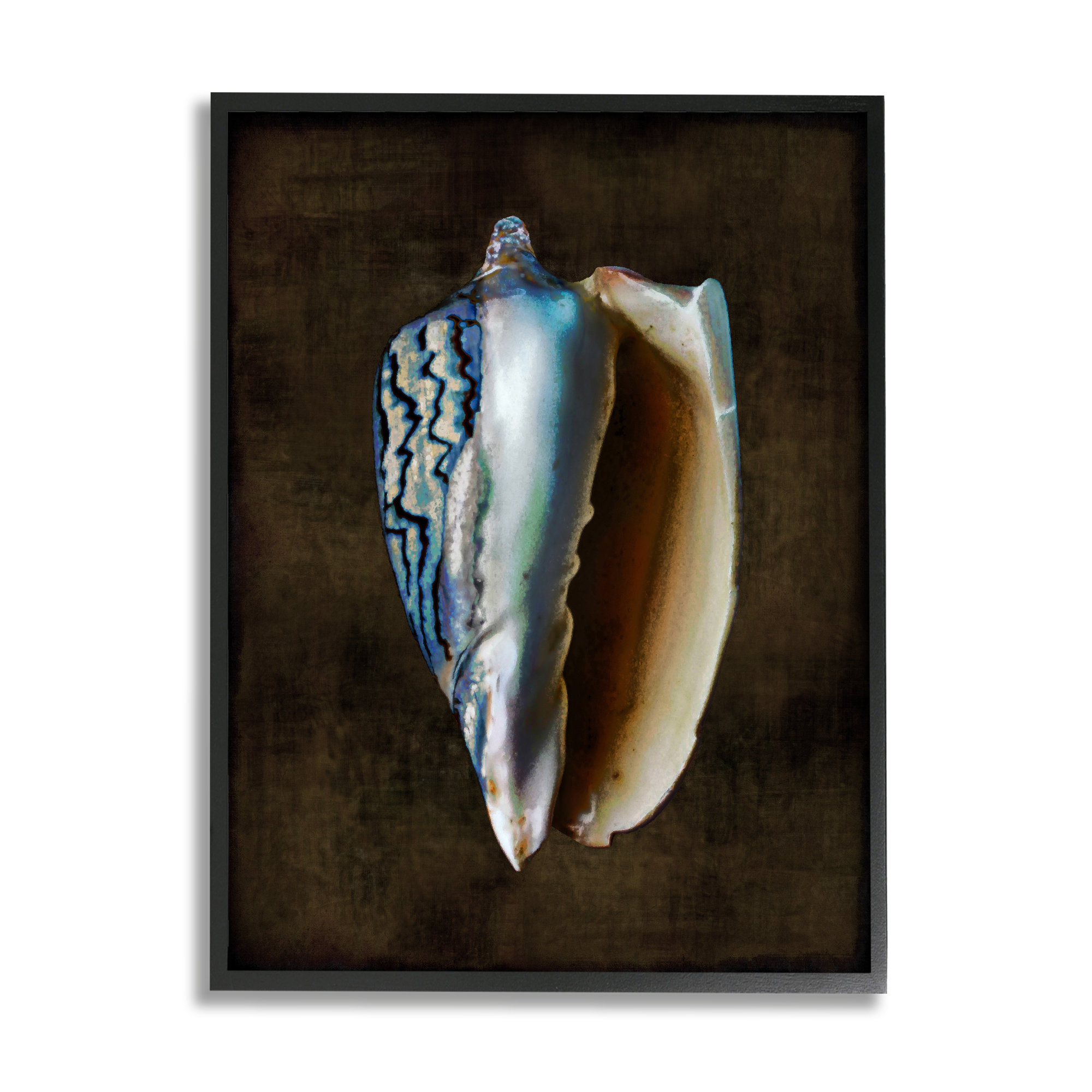 Rosecliff Heights Conch Shell On Framed Giclee Art Design By Caroline ...