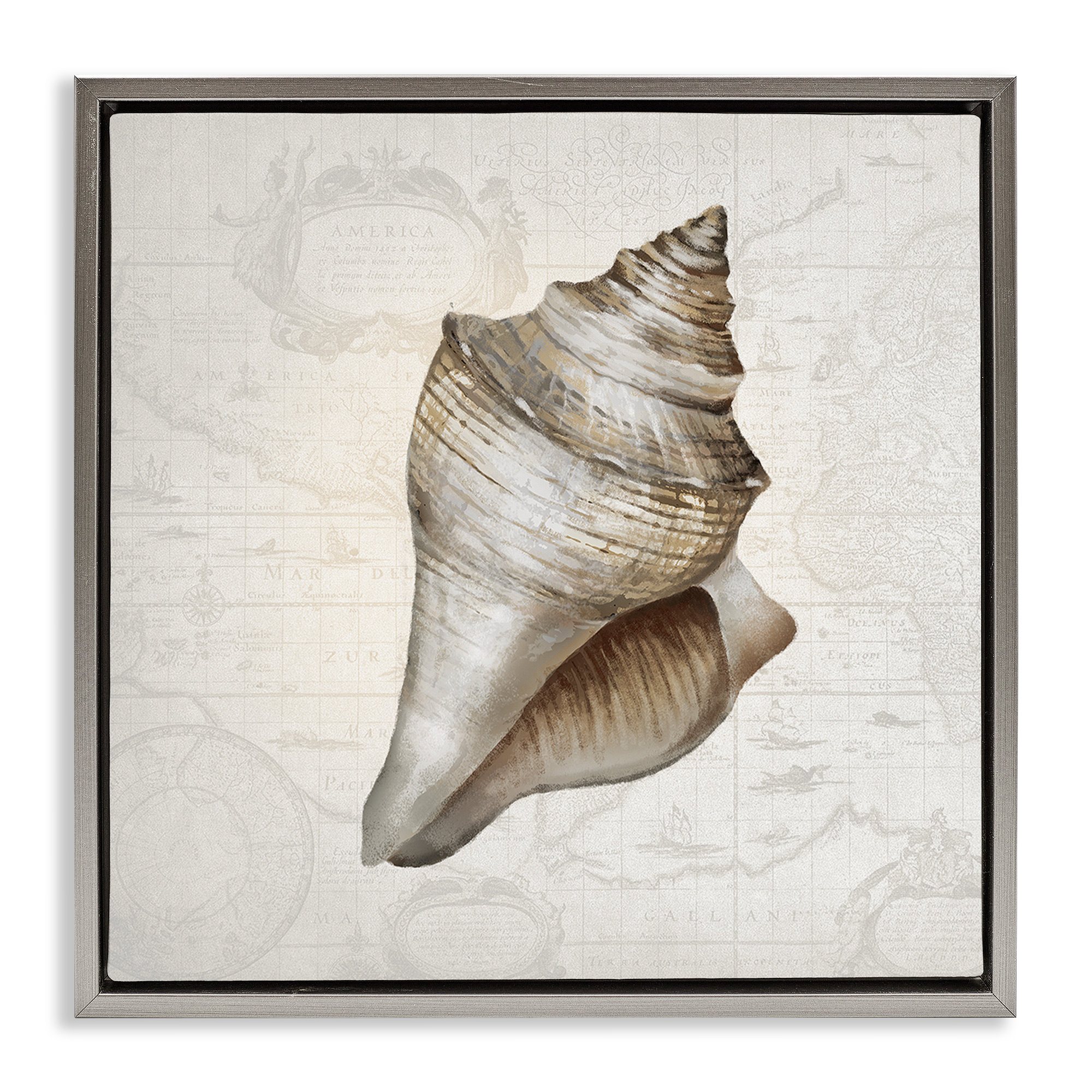 Latitude Run® Conch Shell over Vintage Map Floating Frame, design by ...