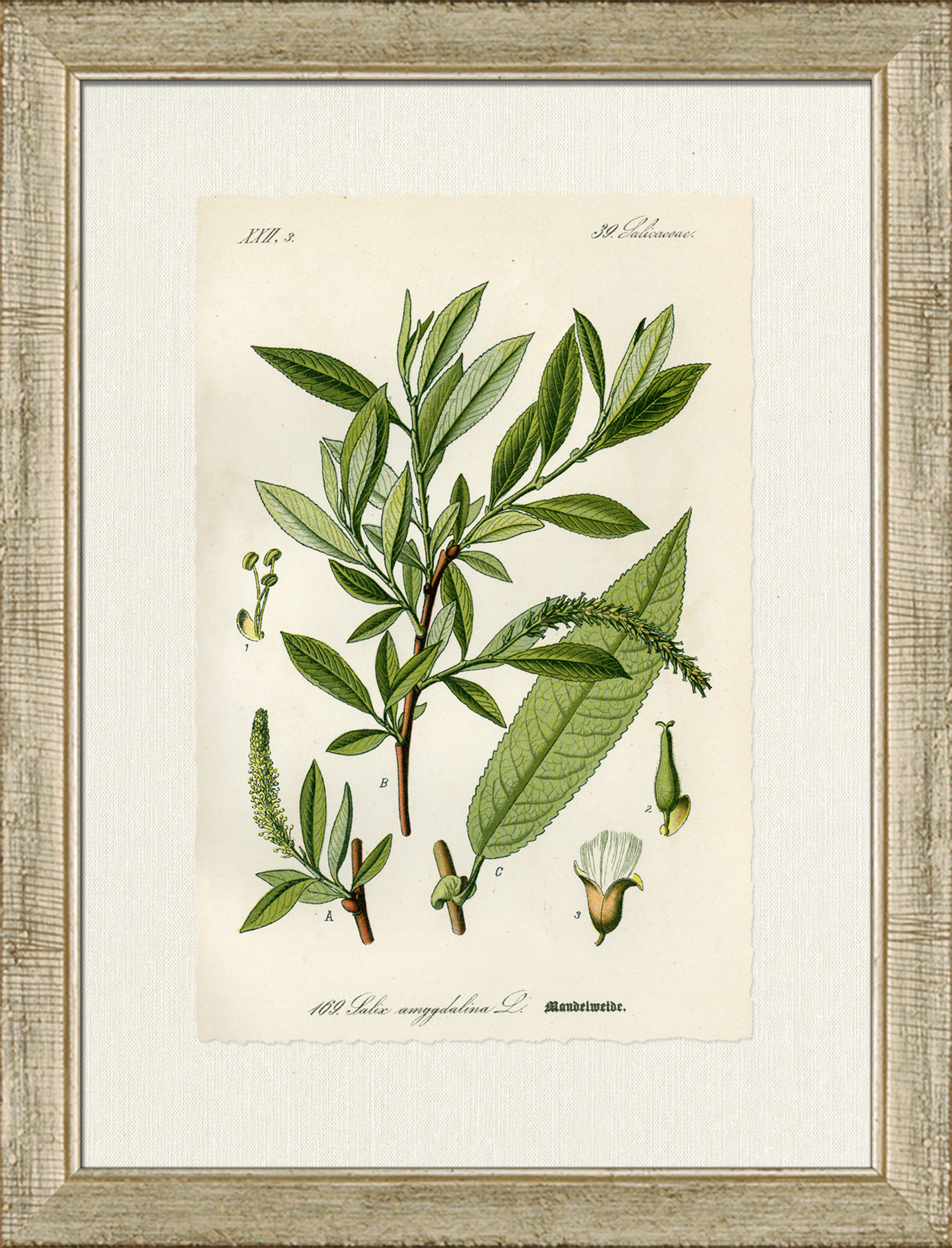 Wendover Art Group Mandelweide - Picture Frame Painting on Paper | Perigold