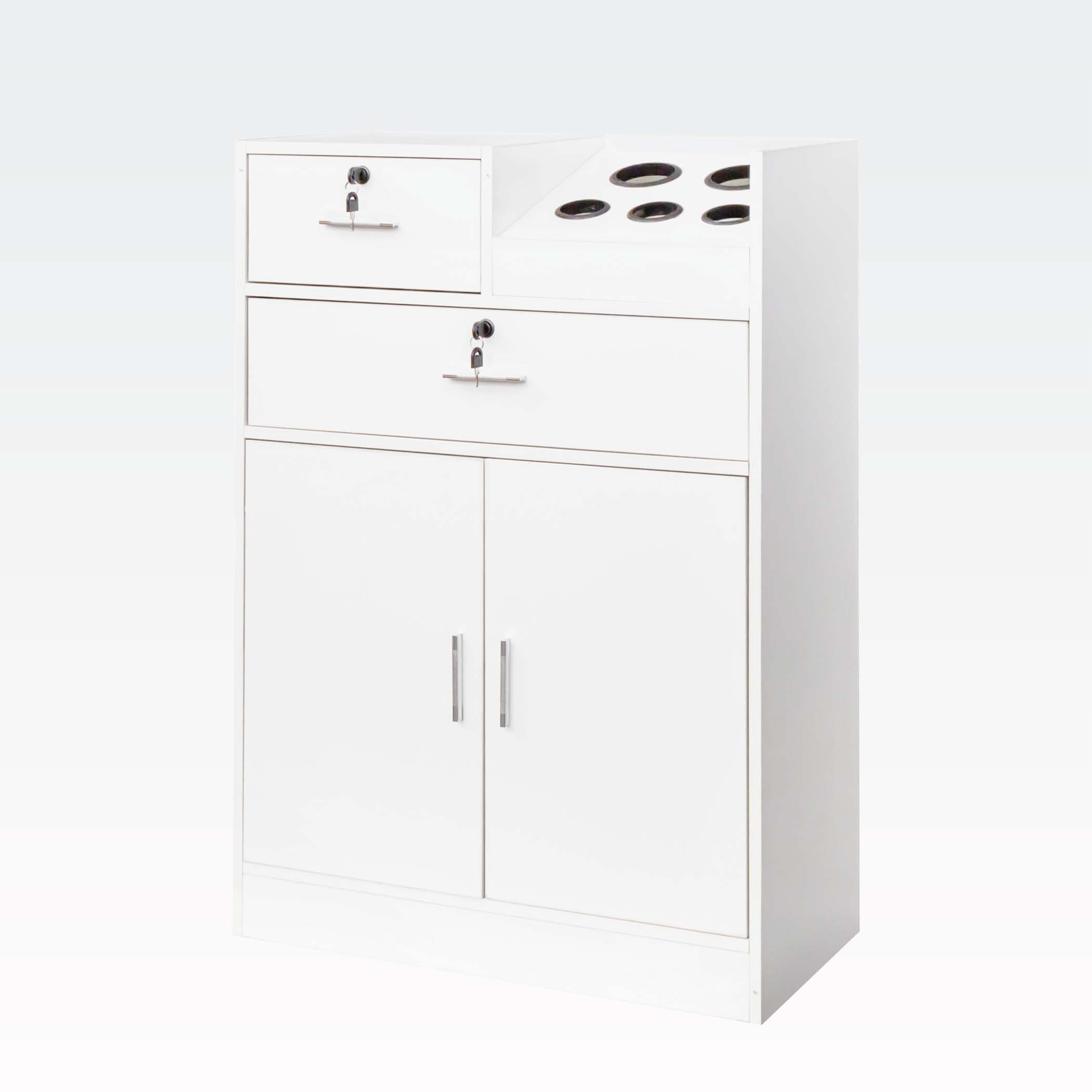 Latitude Run® Locking Beauty Salon Storage Cabinet | Wayfair
