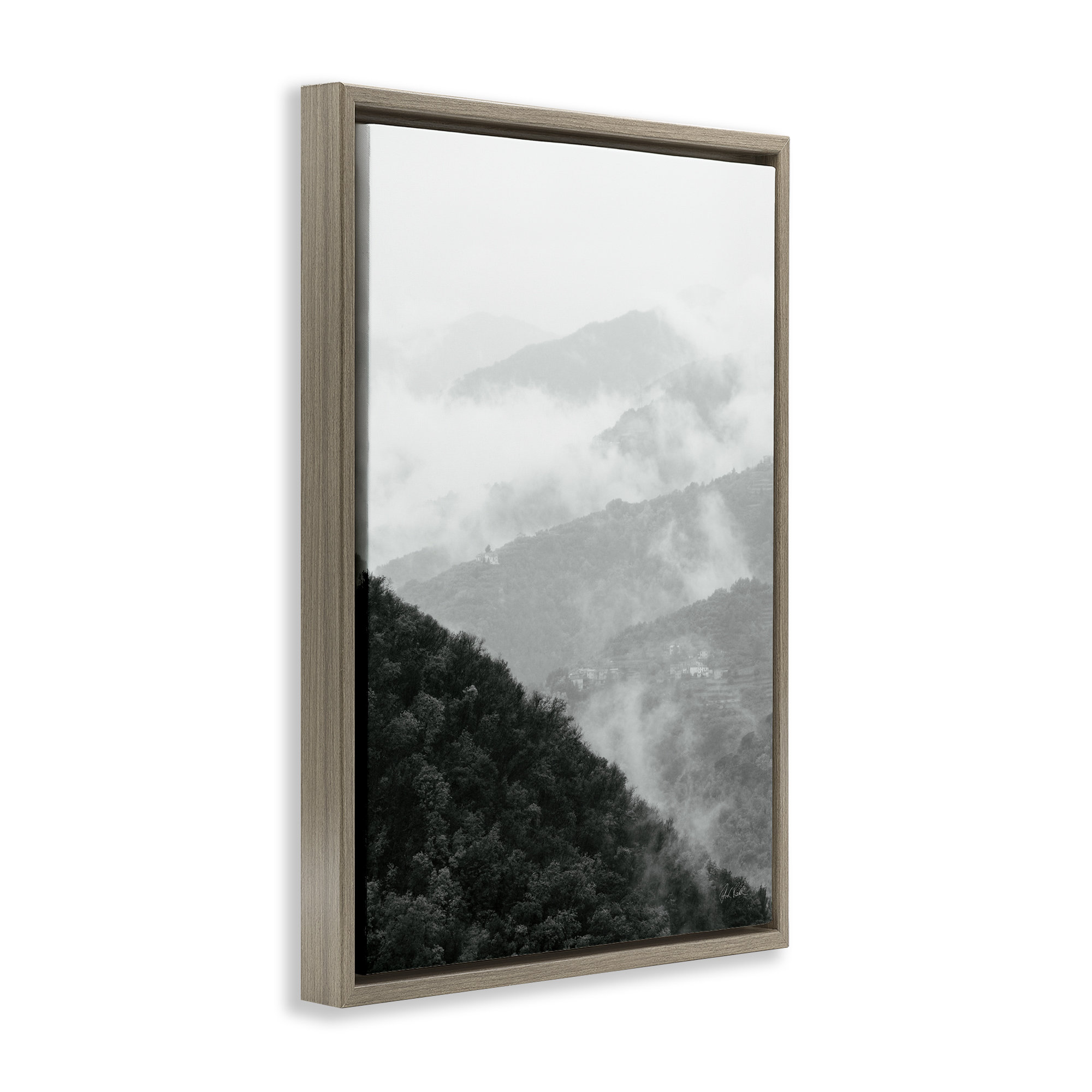 Latitude Run® Morning Mist Forest Floating Frame, design by Deborah ...