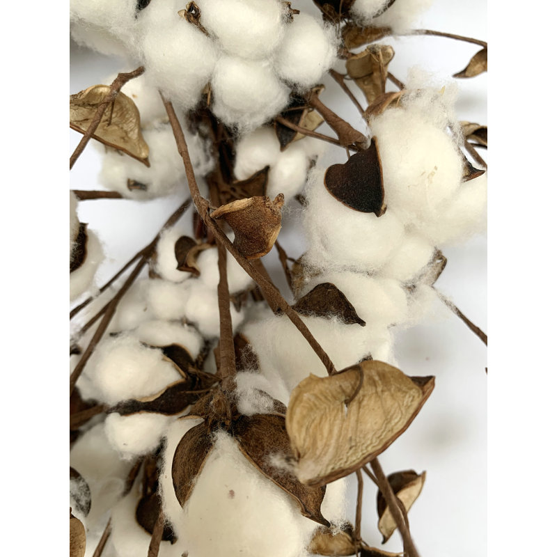 Primrue 24" Farmhouse Rustic Cotton Fall Harvest Wreath for Front Door ...