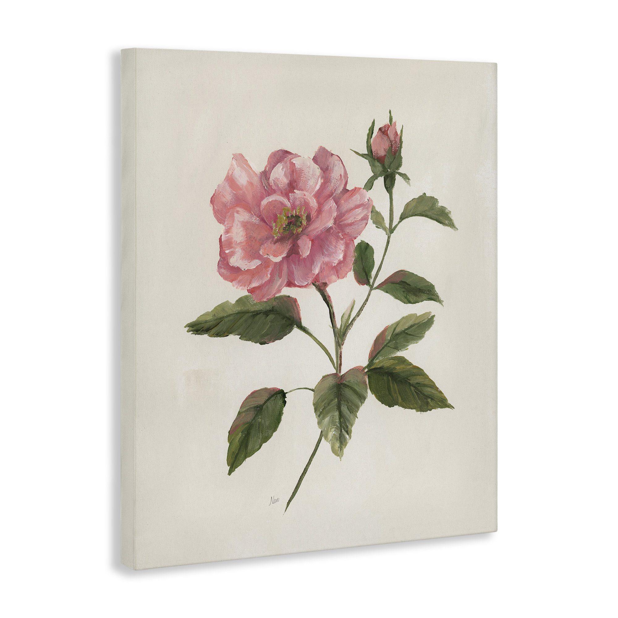 Red Barrel Studio Single Pink Carnation Bloom Canvas Wall Art, design ...