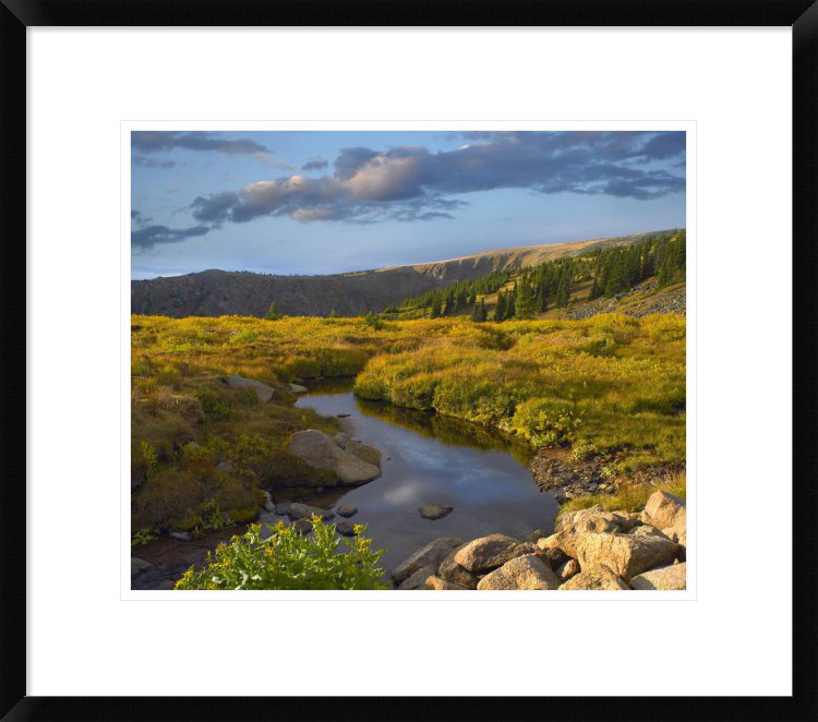 Global Gallery 'Alpine Stream, Rollins Pass Near Winter Park, Colorado ...